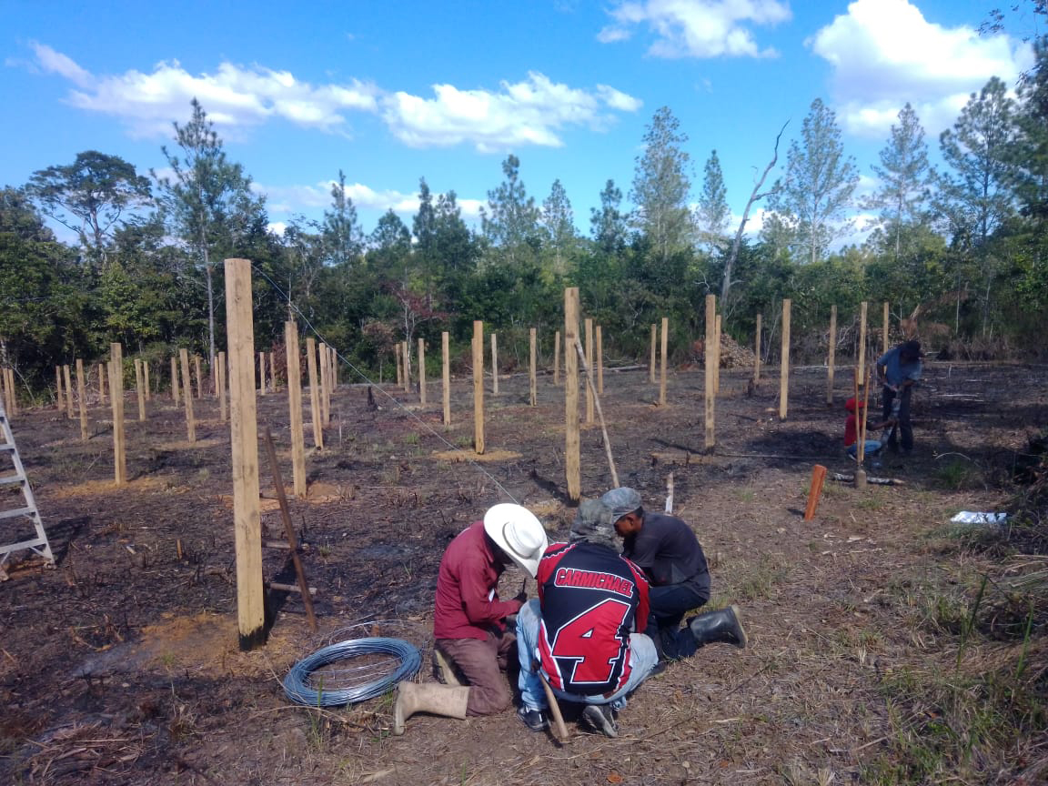 Proyectos | cispalc.org